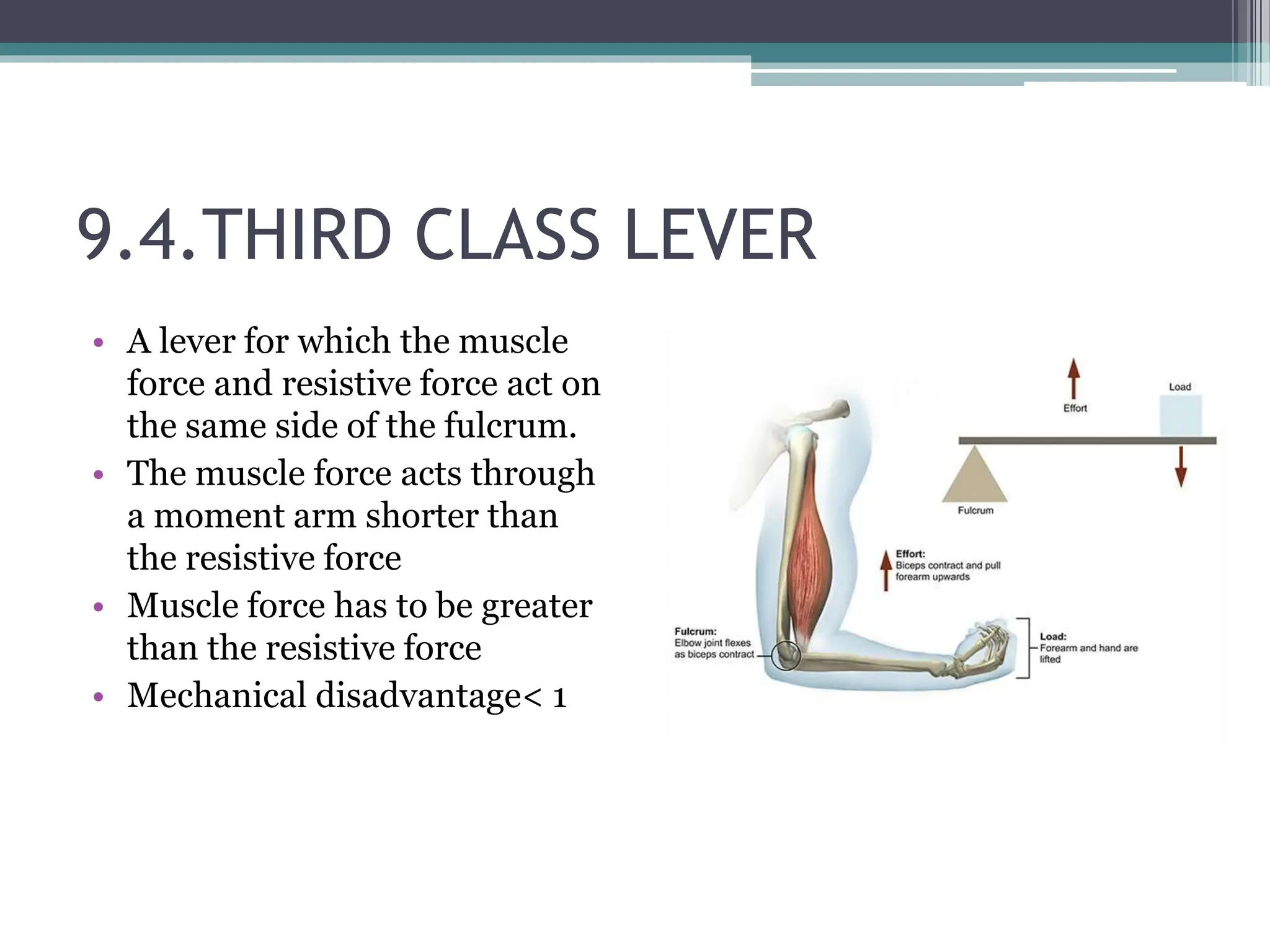 BIOMECHANICS IN SPORTS-PT.pptx