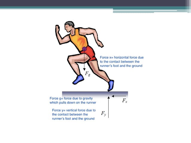 BIOMECHANICS IN SPORTS-PT.pptx | Fitness and Exercise | Healthy Living