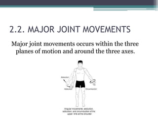 BIOMECHANICS IN SPORTS-PT.pptx