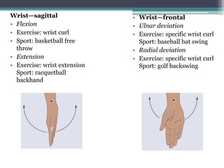 BIOMECHANICS IN SPORTS-PT.pptx