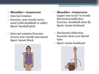 BIOMECHANICS IN SPORTS-PT.pptx