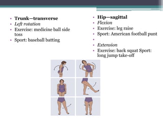 BIOMECHANICS IN SPORTS-PT.pptx