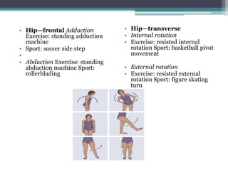 BIOMECHANICS IN SPORTS-PT.pptx