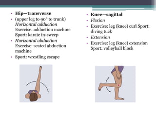 BIOMECHANICS IN SPORTS-PT.pptx