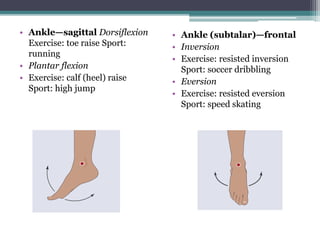 BIOMECHANICS IN SPORTS-PT.pptx