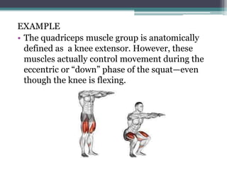 BIOMECHANICS IN SPORTS-PT.pptx