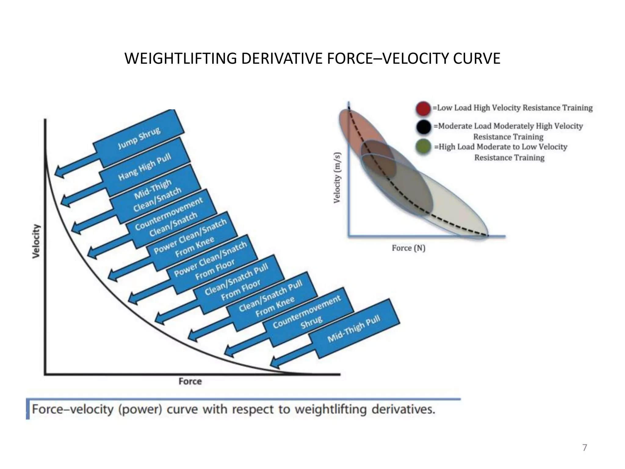 Biomechanics in strength training: selected applied topics -mahdi ...