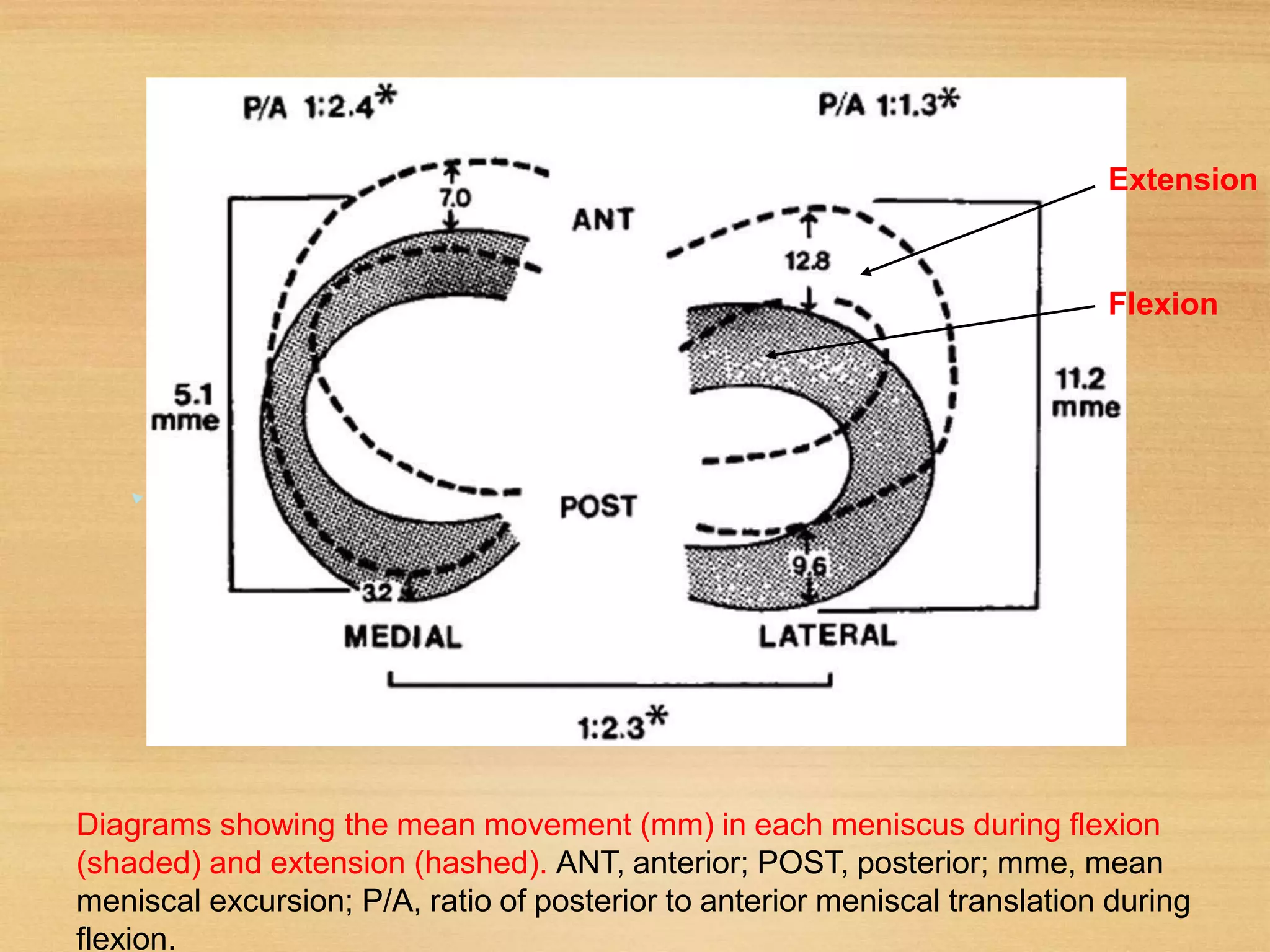 Biomechanics of knee | PPT