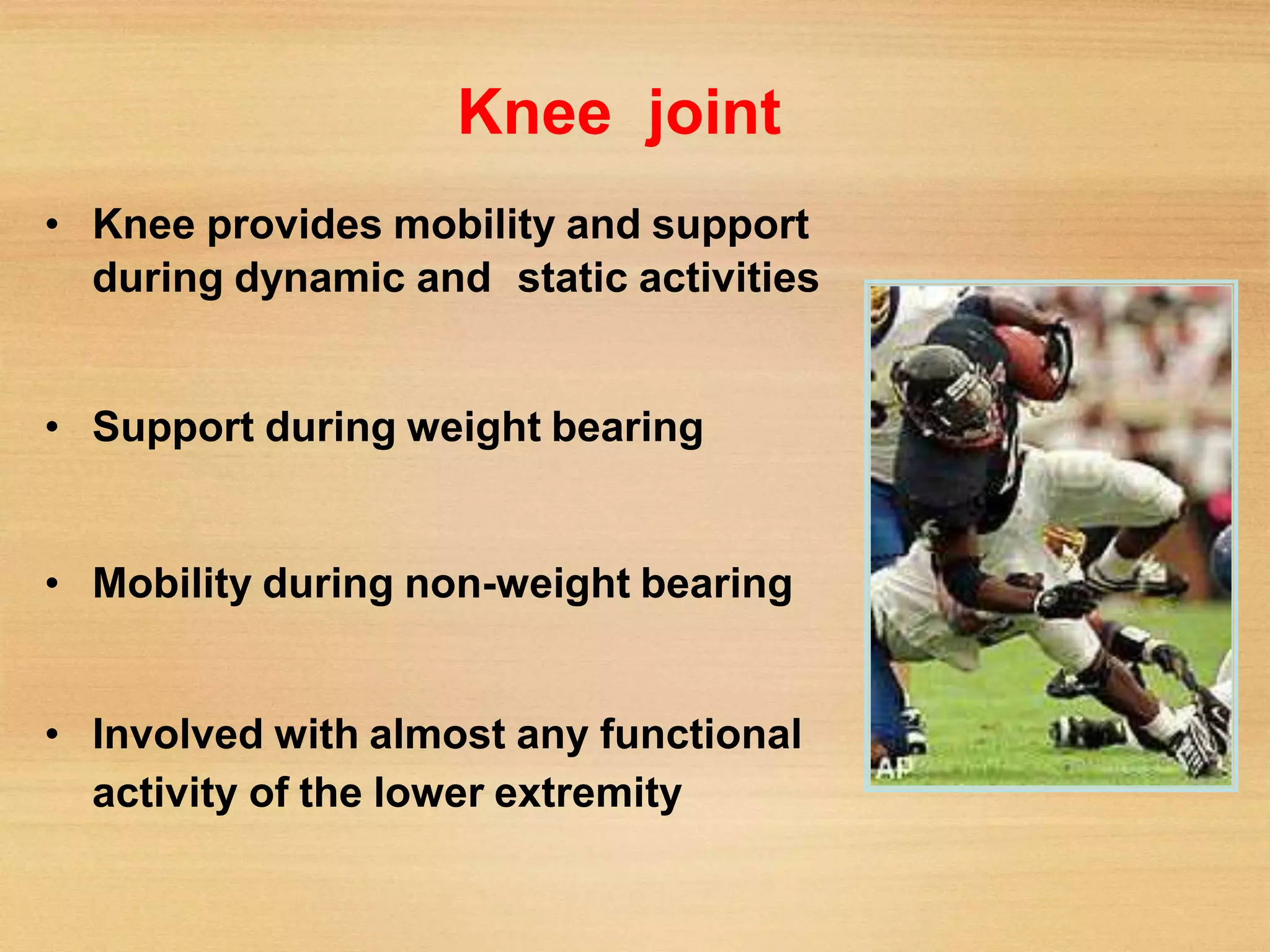 Biomechanics of knee | PPT
