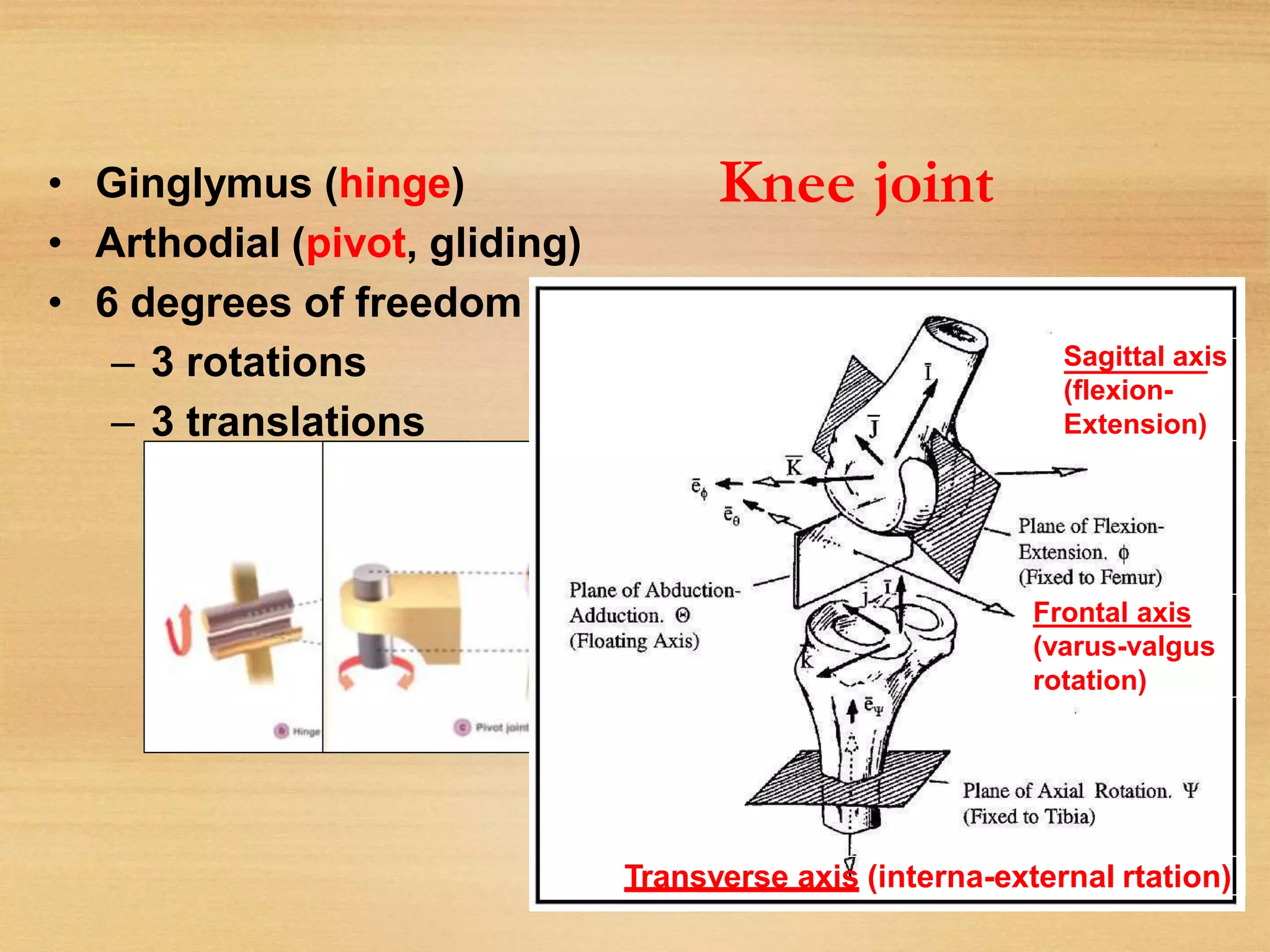Biomechanics of knee | PPT