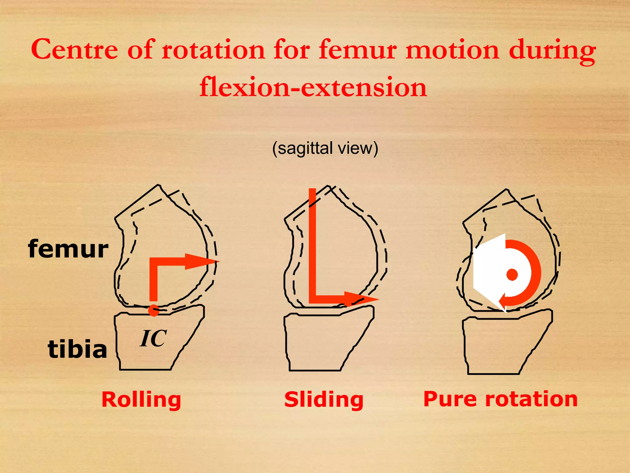 Biomechanics of knee | PPT
