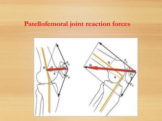 Biomechanics of knee | PPT