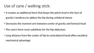 Applied Anatomy and Biomechanics of Hip and Knee.pptx
