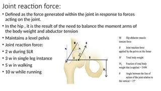 Applied Anatomy and Biomechanics of Hip and Knee.pptx