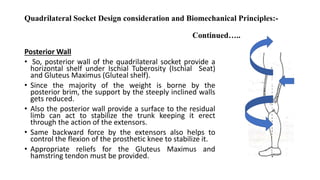 Biomechanics of Quadrilateral Socket | PPTX