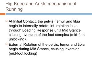 Biomechanics of ADL-I | PDF
