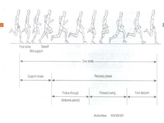 Biomechanics of ADL-I | PDF