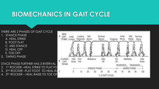 BIOMECHANICS OF ANKLE with gait phase.pptx
