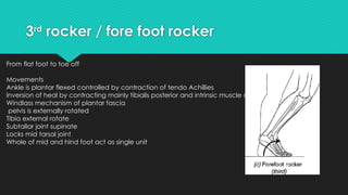 BIOMECHANICS OF ANKLE with gait phase.pptx