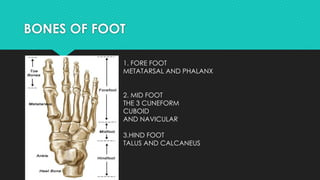 BIOMECHANICS OF ANKLE with gait phase.pptx