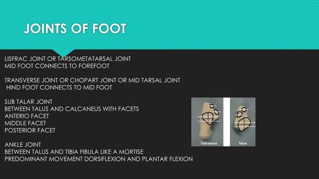 BIOMECHANICS OF ANKLE with gait phase.pptx