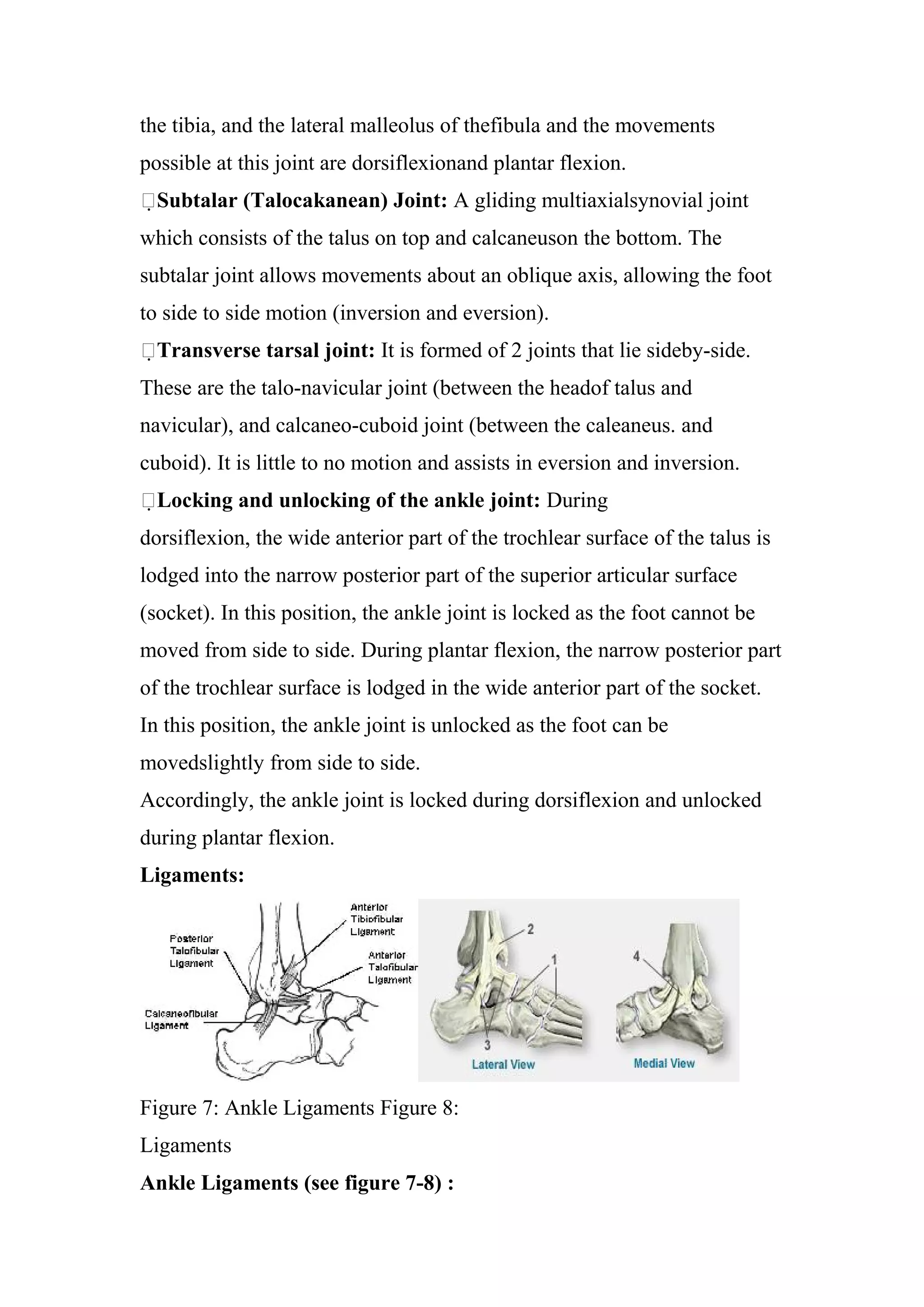Biomechanics of ankle and foot | DOC