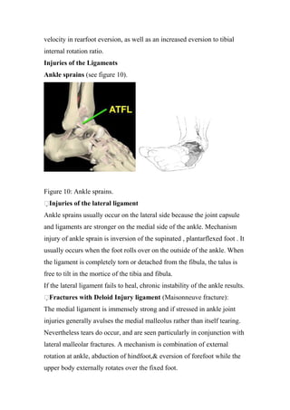 Biomechanics of ankle and foot | DOC