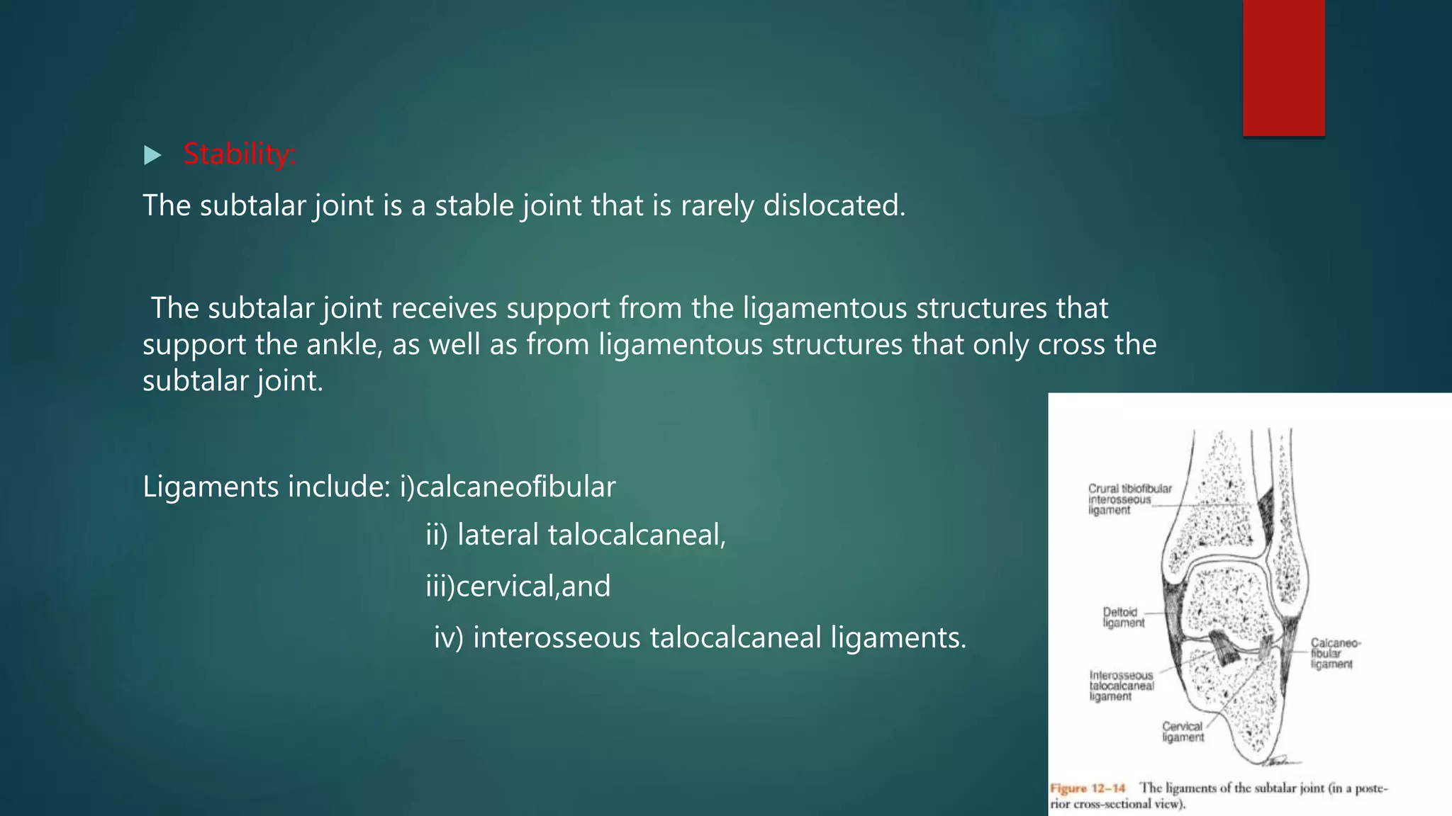 Biomechanics of ankle and foot | PPTX