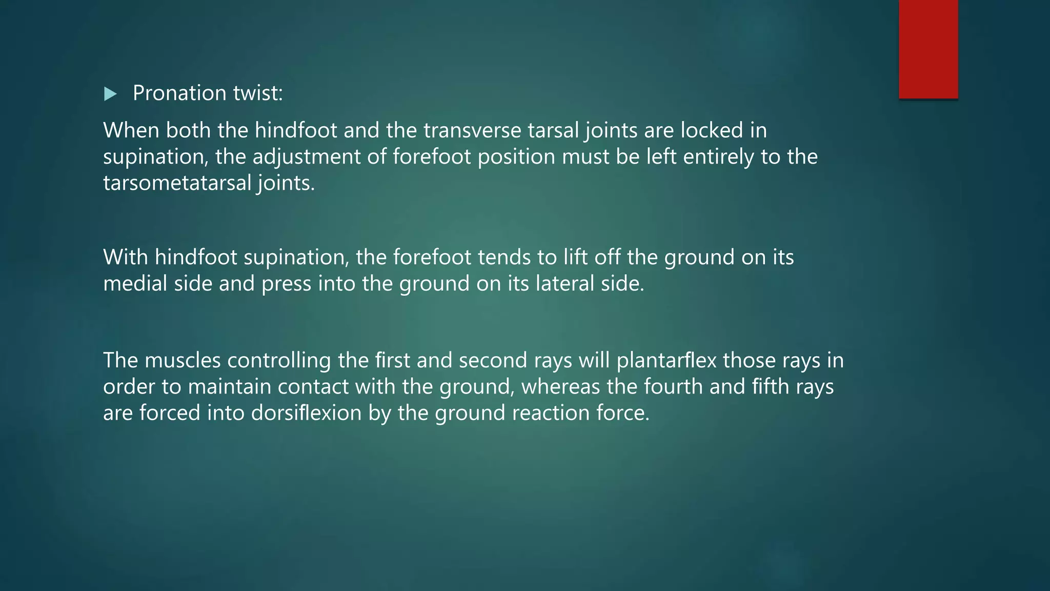 Biomechanics of ankle and foot | PPTX