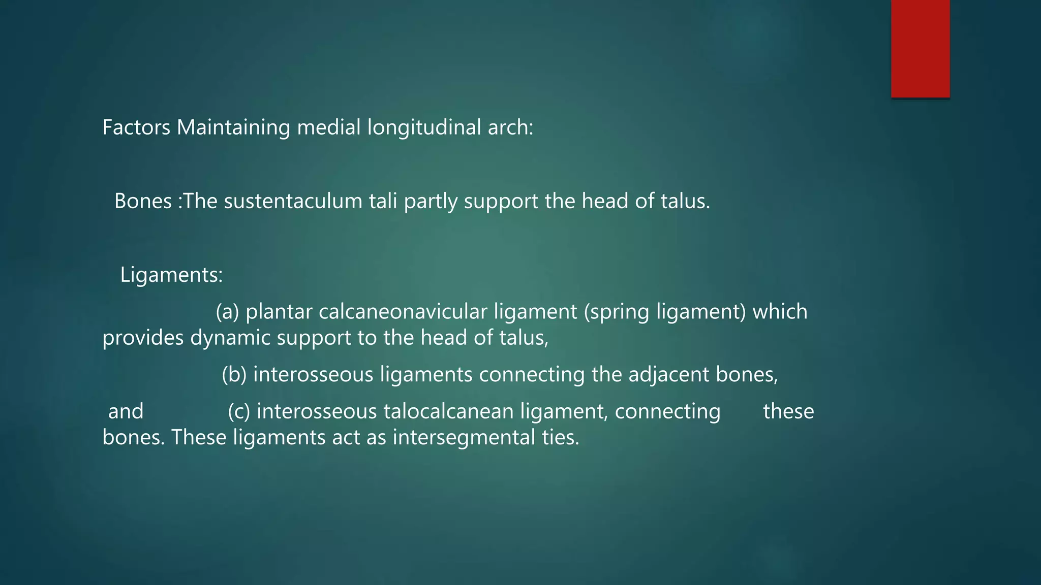Biomechanics of ankle and foot | PPTX