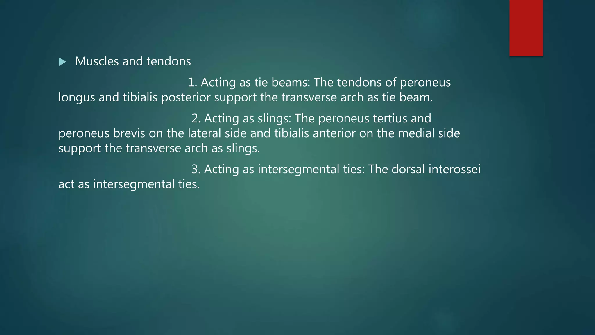 Biomechanics of ankle and foot | PPTX