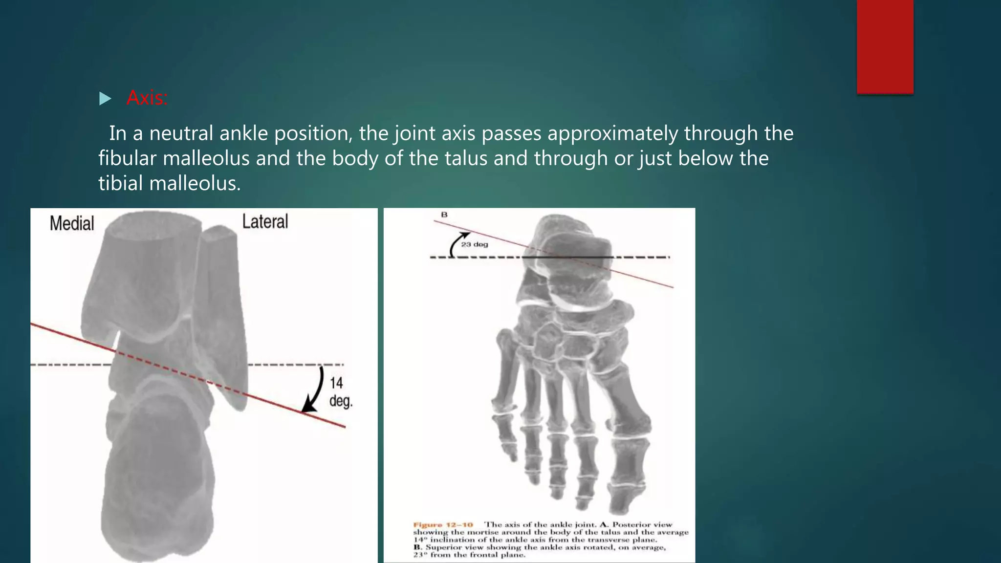 Biomechanics of ankle and foot | PPTX