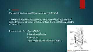 Biomechanics of ankle and foot | PPTX