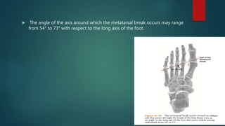 Biomechanics of ankle and foot | PPTX