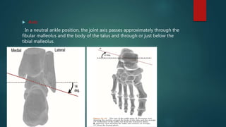 Biomechanics of ankle and foot | PPTX