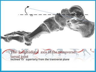 Biomechanics of ankle_joint | PPTX