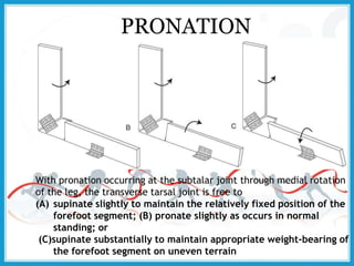 Biomechanics of ankle_joint | PPTX