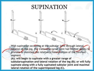 Biomechanics of ankle_joint | PPTX