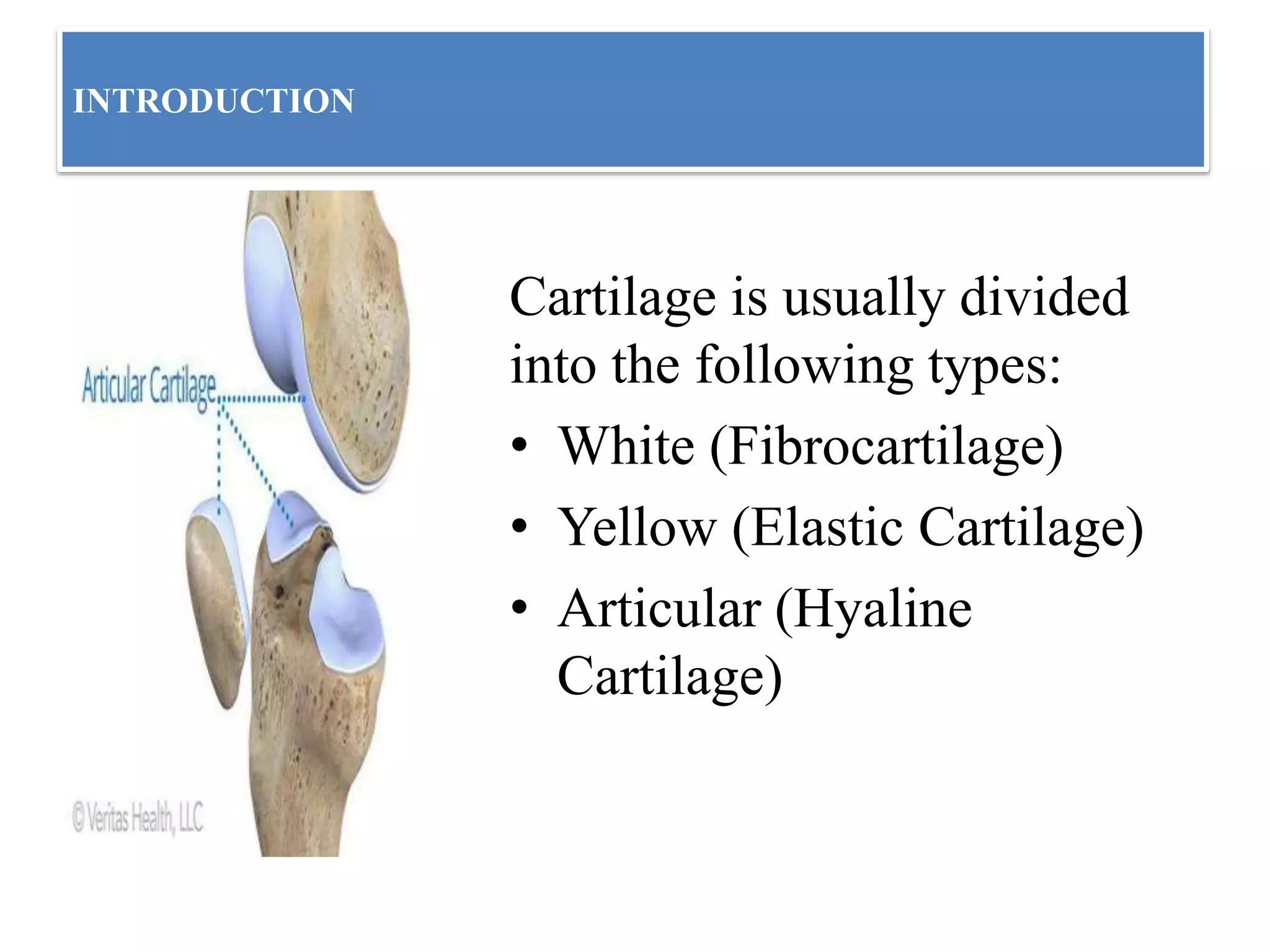 Biomechanics of articular cartilage | PPTX
