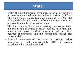 Biomechanics of articular cartilage | PPTX