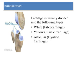 Biomechanics of articular cartilage | PPTX