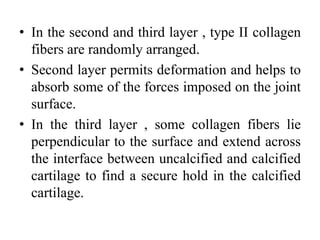Biomechanics of articular cartilage | PPTX