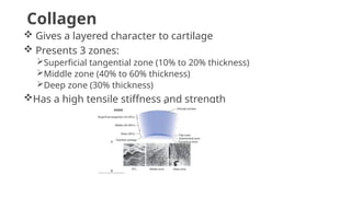Biomechanics of Articular Cartilage.pptx