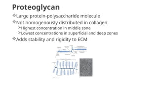 Biomechanics of Articular Cartilage.pptx