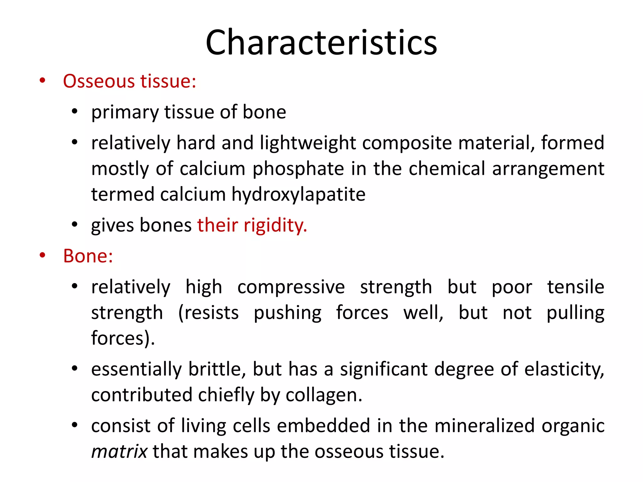 Biomechanics of Bone.ppt