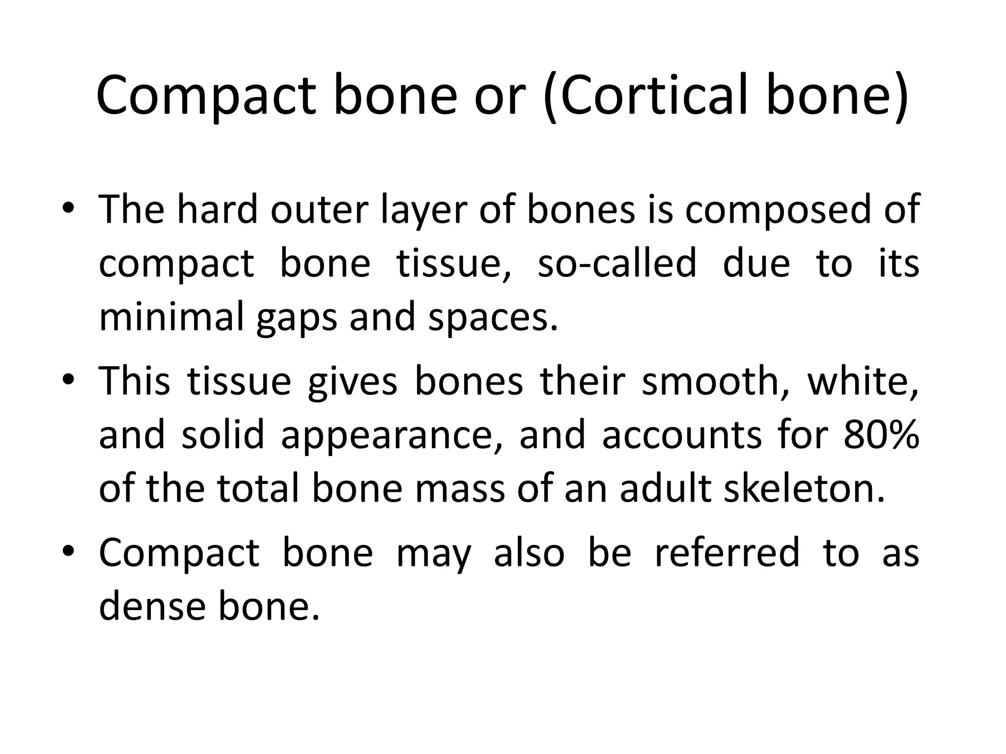 Biomechanics of Bone.ppt