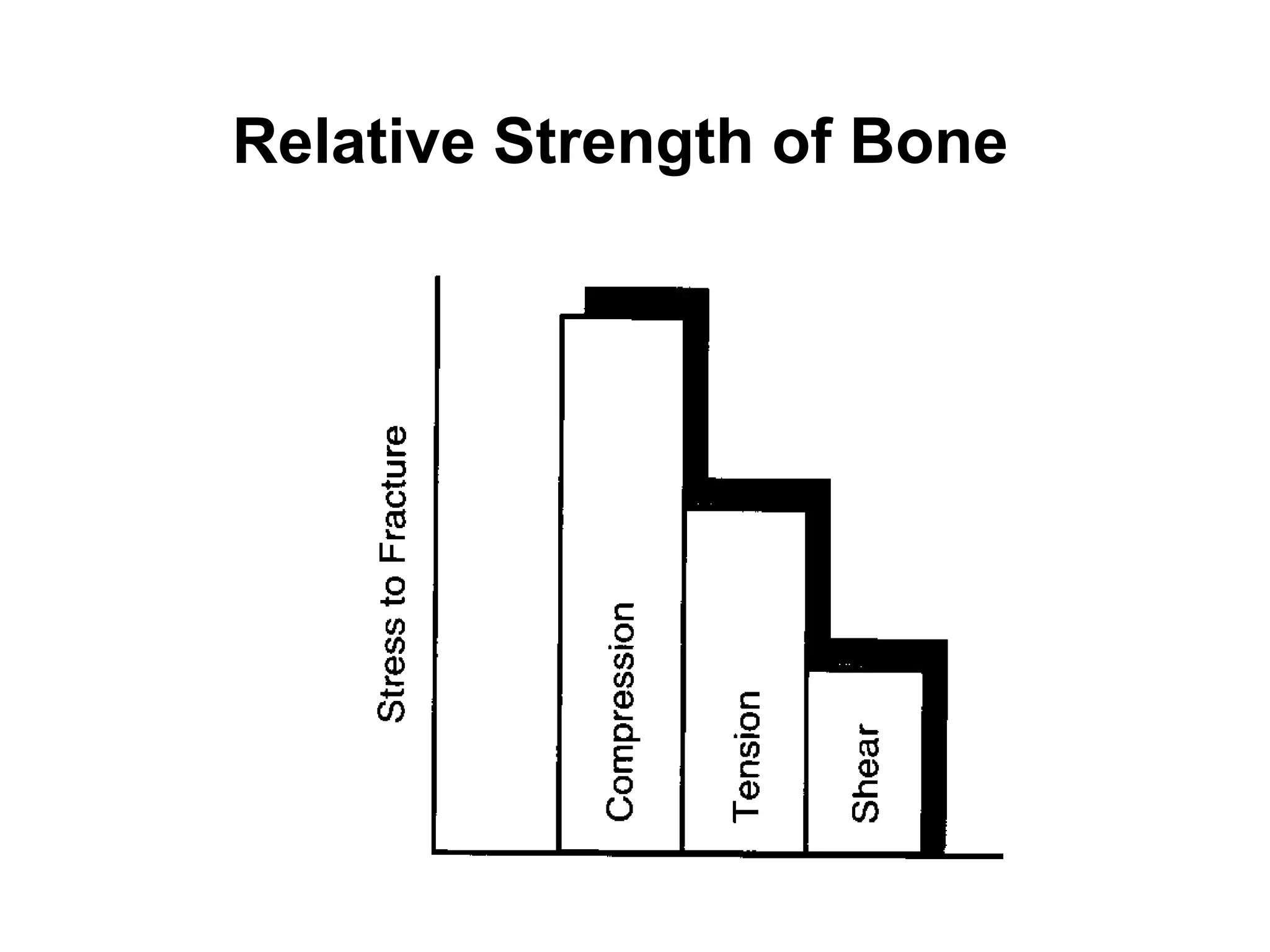 Biomechanics of Bone.ppt