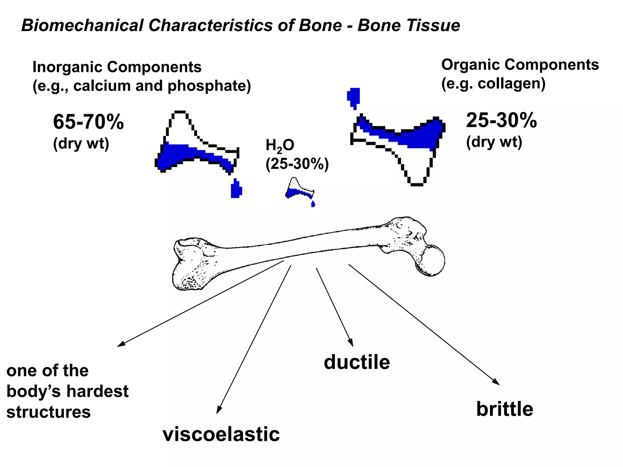 Biomechanics of Bone.ppt