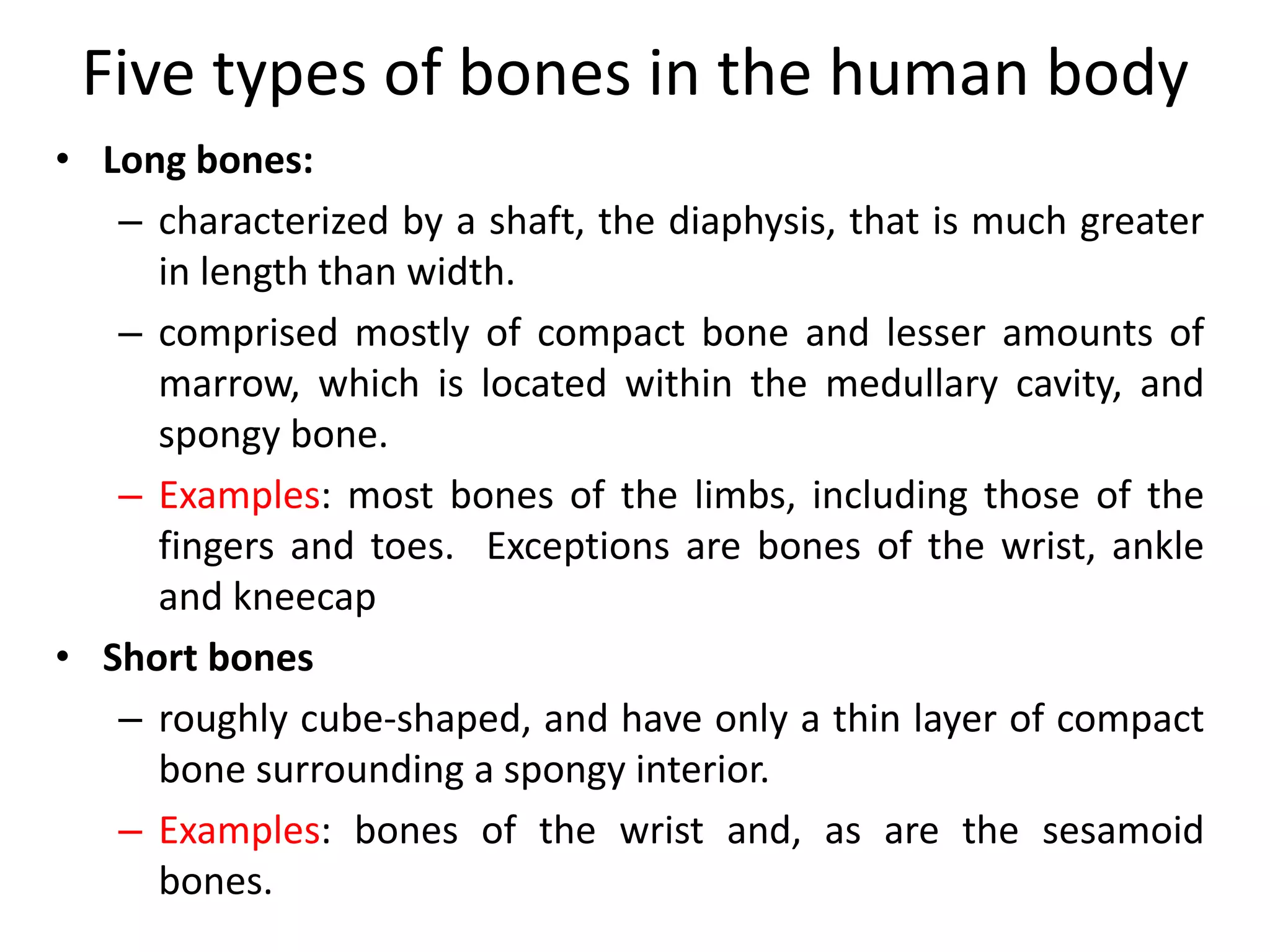 Biomechanics of Bone.ppt