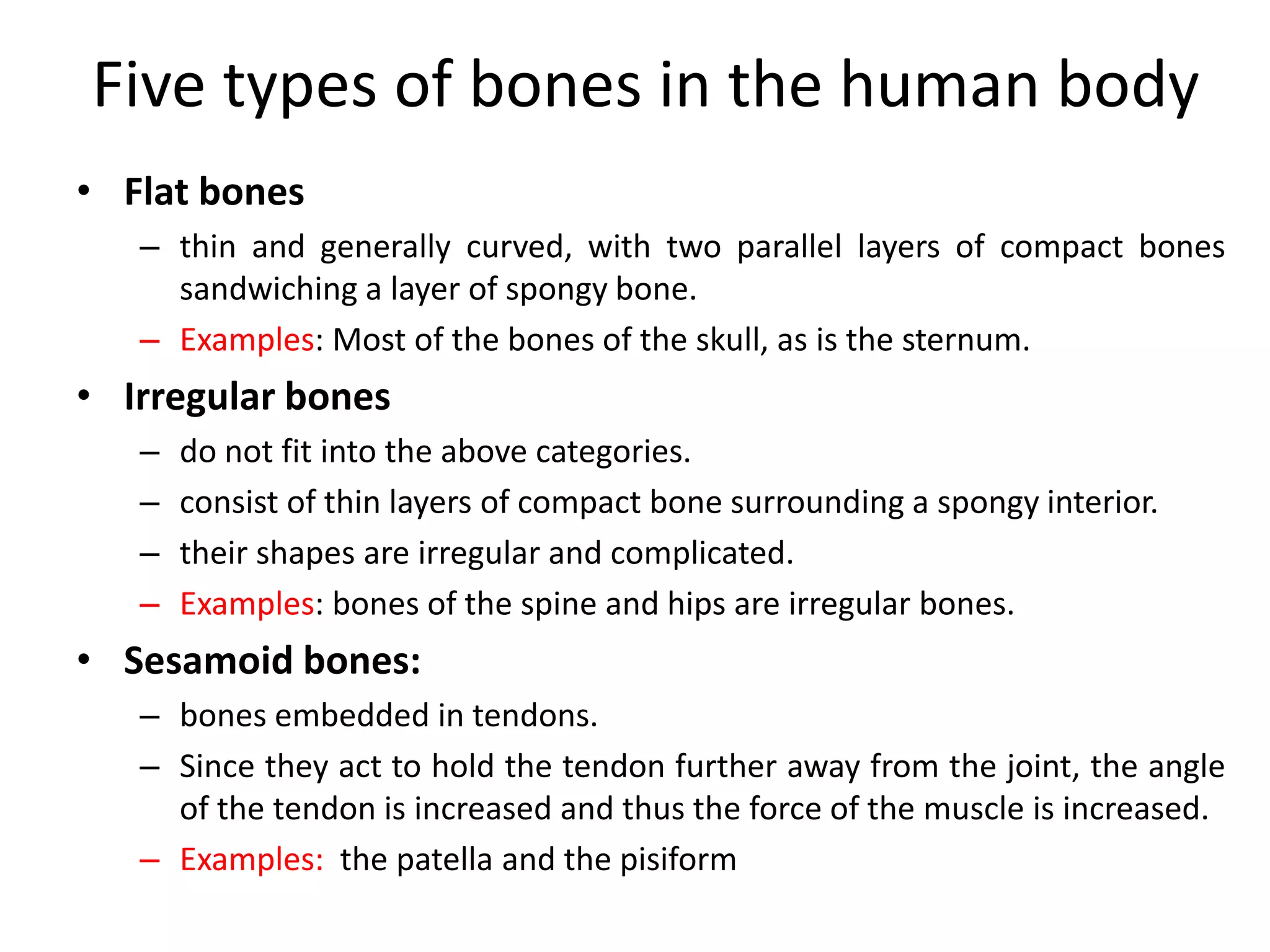 Biomechanics of Bone.ppt
